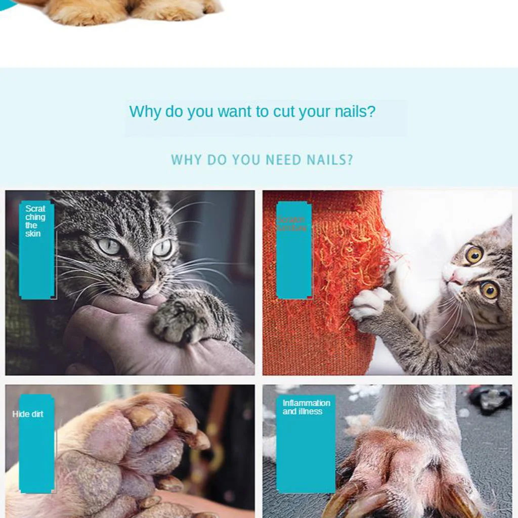 Dog Nail Clippers Professional Pet Nail Clipper Toe Pet Grooming Tool ...