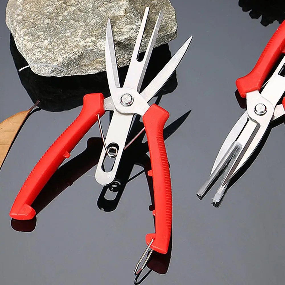 Double-edged Fruit Picking Scissors Garden Pruner Shears Citrus Tree ...