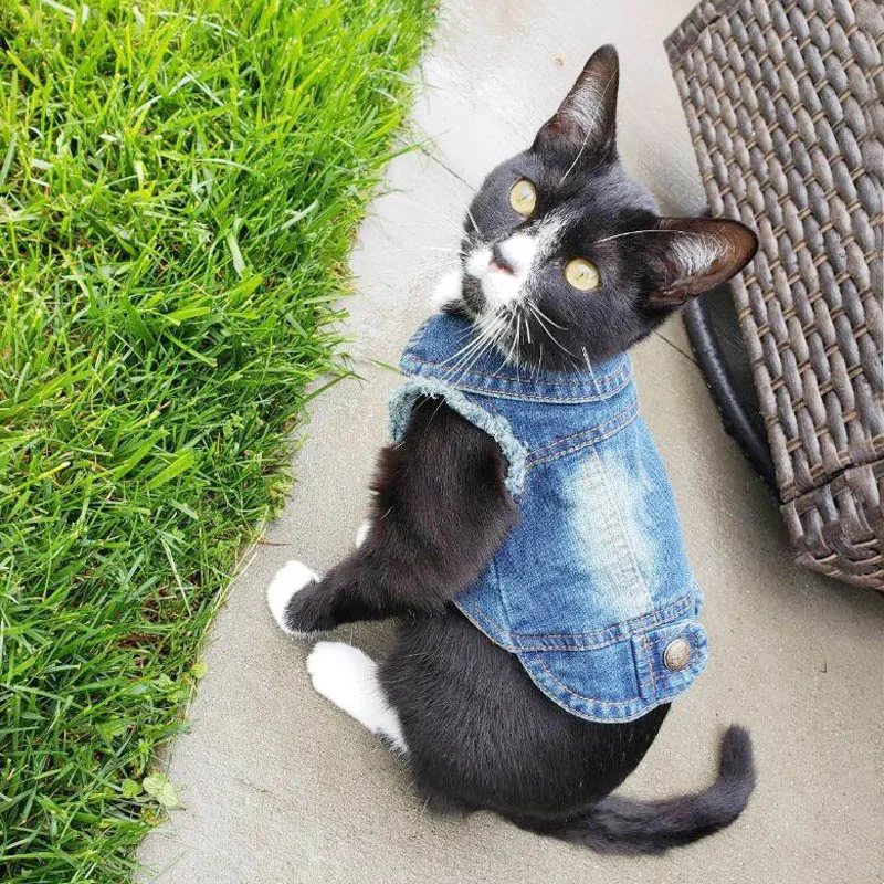 Denim Cat Clothes for Cats Fashion Cat Coat Jeans Jacket Casual Outfits ...