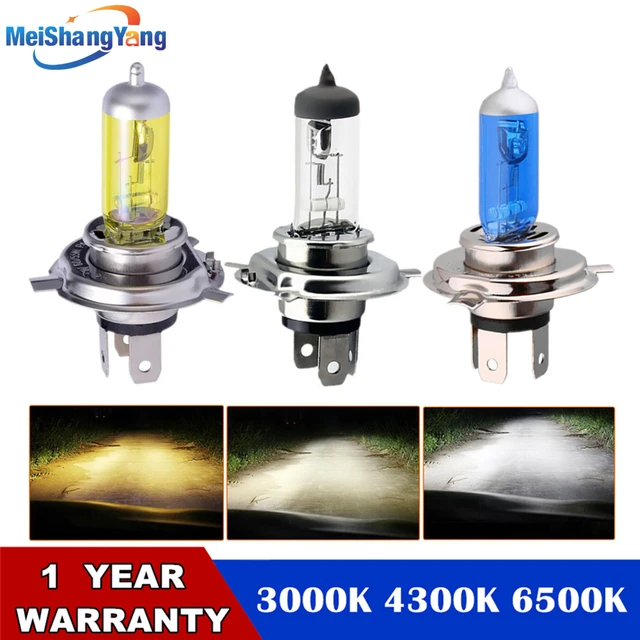 Halogen Headlight Bulbs