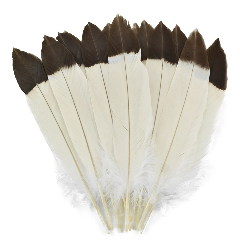 Eagle Feather Designs
