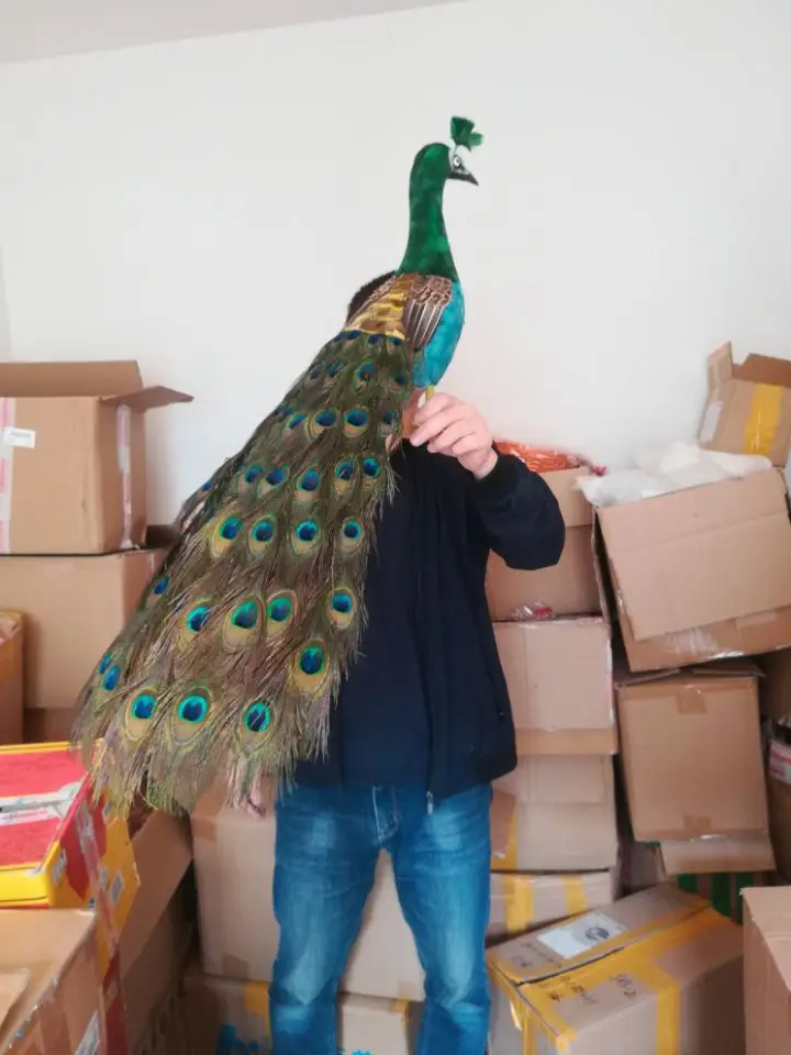 large-80cm-beautiful-feathers-peacock-model-peacock-bird-handicraft ...