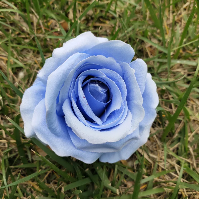 Single Light Blue Rose