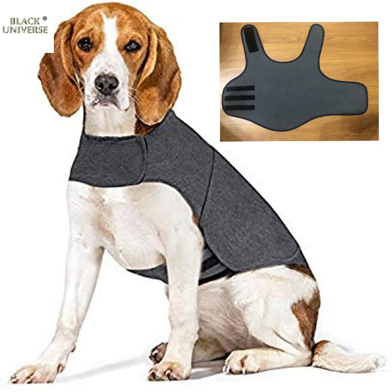 How Long Should A Dog Wear A Thundershirt