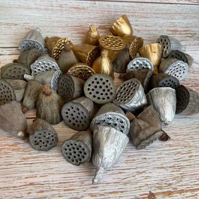 Dried Lotus Seed Pods
