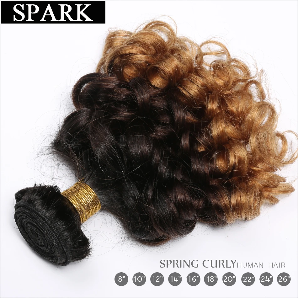 Spark Human Hair Extension Ombre Brazilian Loose Bouncy Curly Hair ...