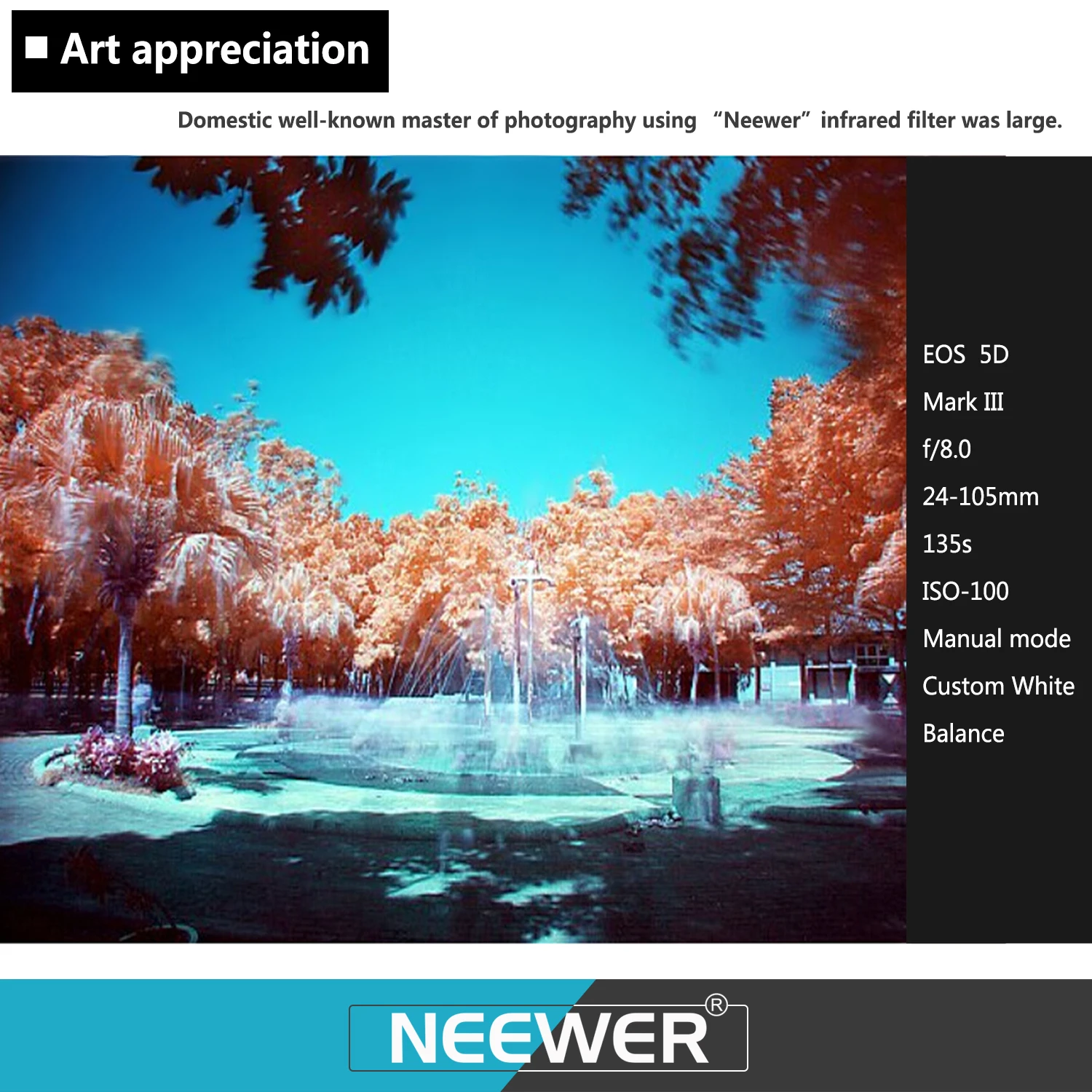 Infrared X Ray Photography