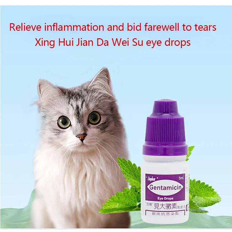 Are Gentamicin Ear Drops Ok For Dogs