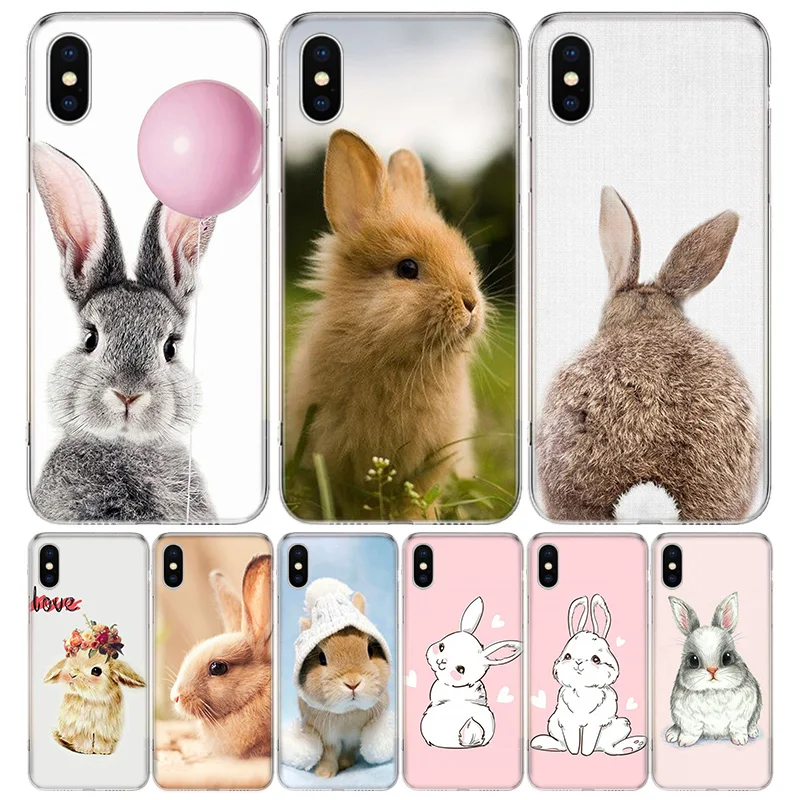 Cute White Baby Rabbits