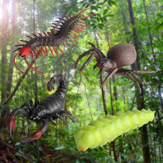 Giant Centipede Vs Scorpion