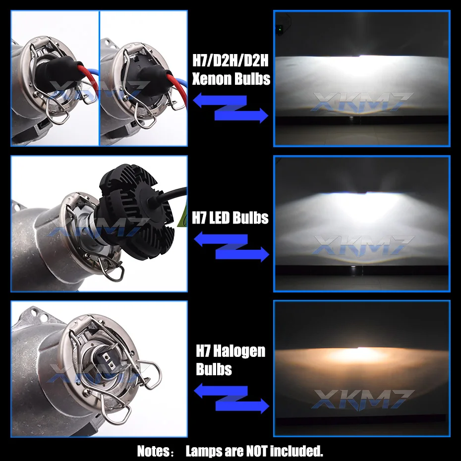 V Halogen Xenon Bulbs