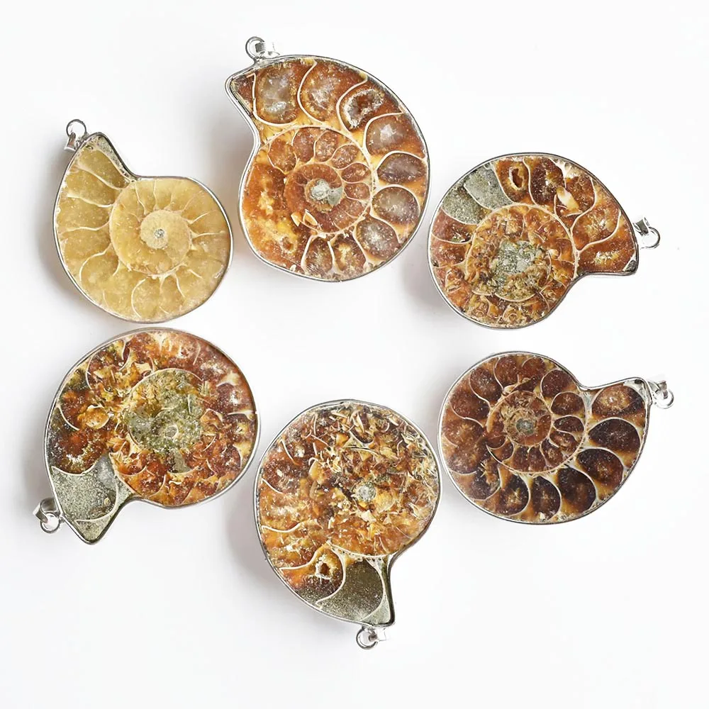 Wholesale 6pcs/lot fashion Natural Stone Ammonite Snail shell Conch ...