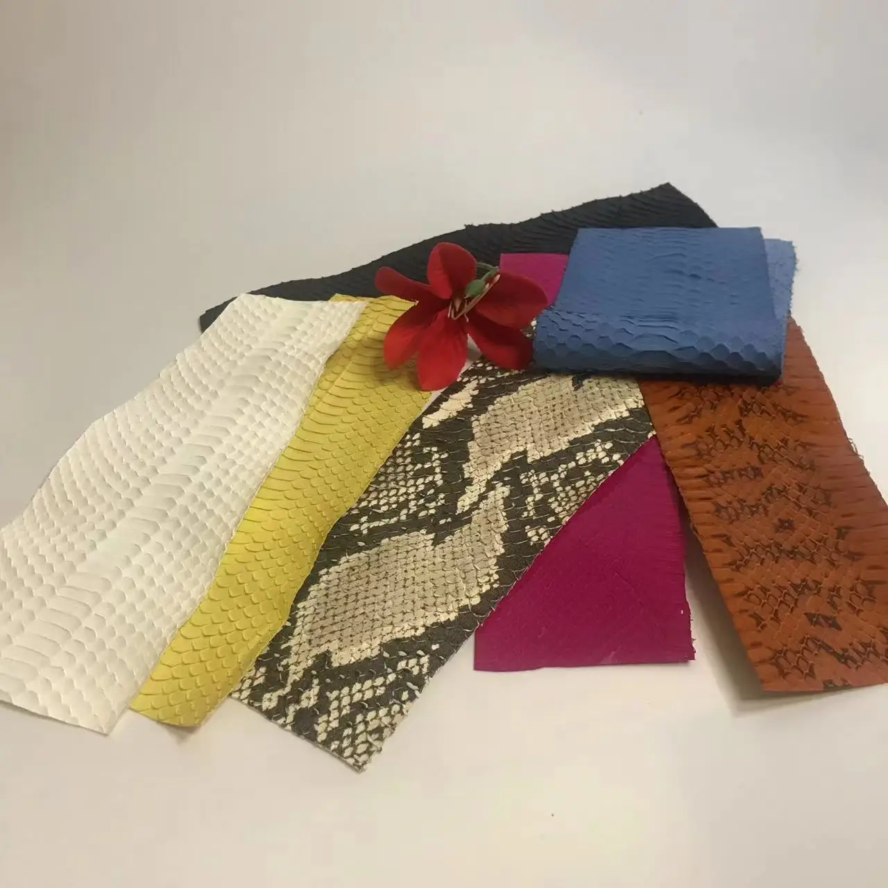 Real-Snake-SKin-Watch-Straps-Leather-Genuine-Snake-Skin-Pieces-5cm-x ...