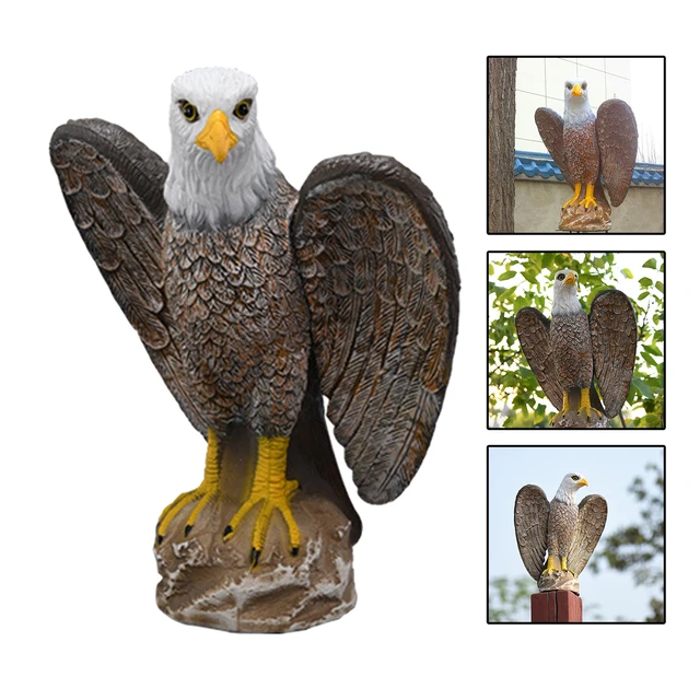 Birds Of Prey Statues