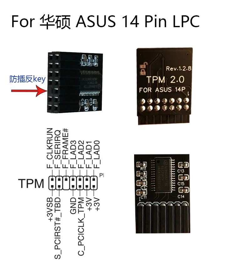 Modulo Asus Tpm-spi Sale Discount | www.oceanproperty.co.th