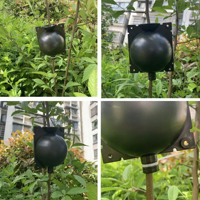 Reusable Plant Rooting Grow Box Plant Rooting Device Plant Rooter Box ...