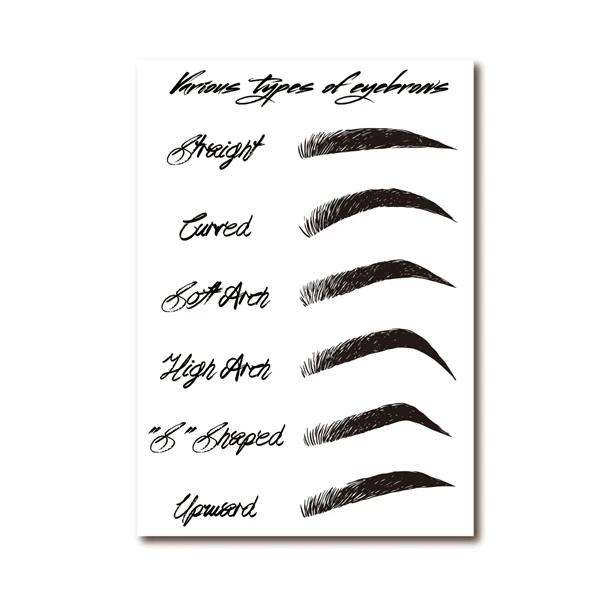 Eyebrow Shapes Chart
