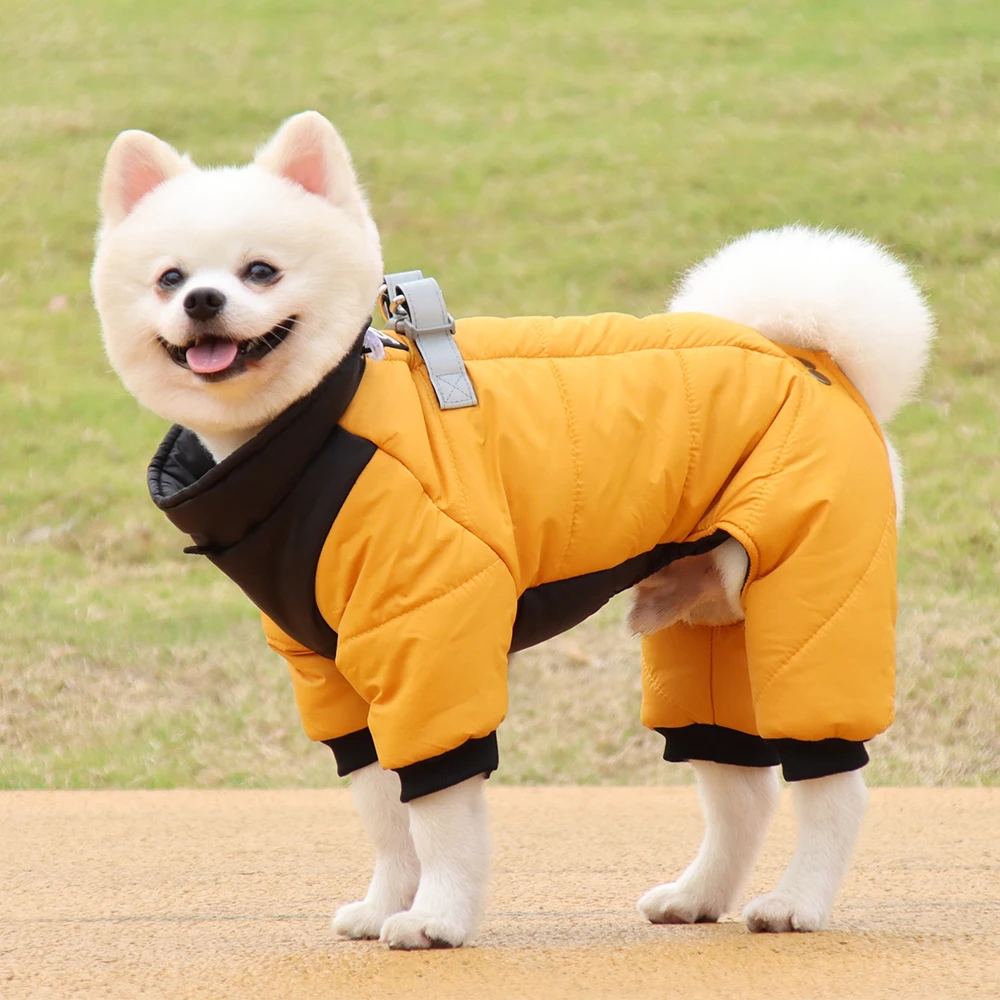 Dog Jacket Waterproof For Small Medium Dogs – DogMega.Com