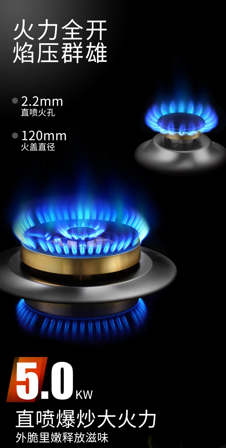 GEYI Four-eye Gas Cooker -S924PCI 20Y Bottled Liquefied / 12T Natural ...