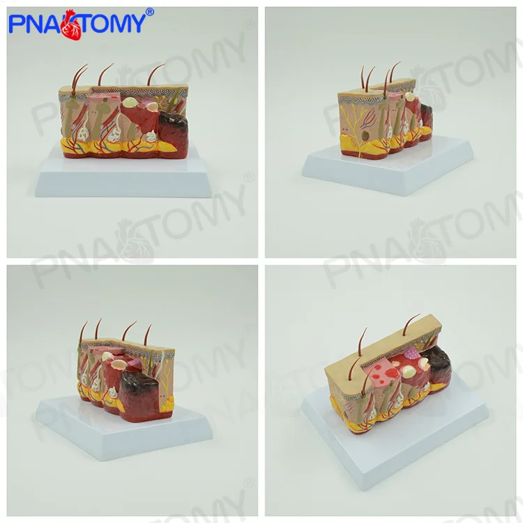 Store Home Products ChoiceDay Feedback