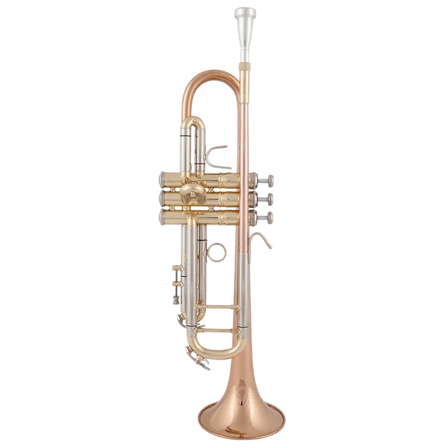 Silver And Gold Trumpet