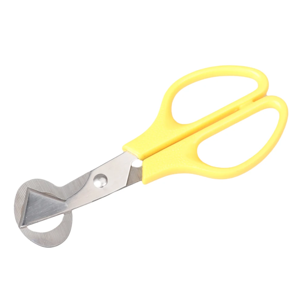6pcs Stainless Steel Pigeon Bird Quail Egg Cutter Scissors Opener ...