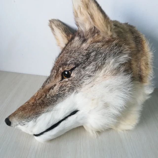 Real Wolf Head