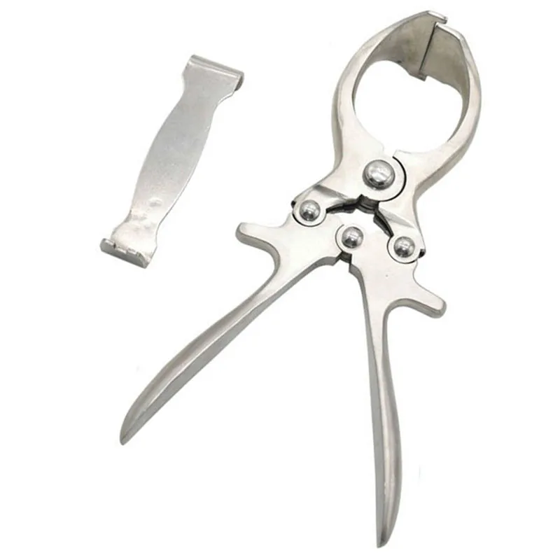 2 Pcs Livestock Tools Stainless Steel Without Blood Pig Sheep ...