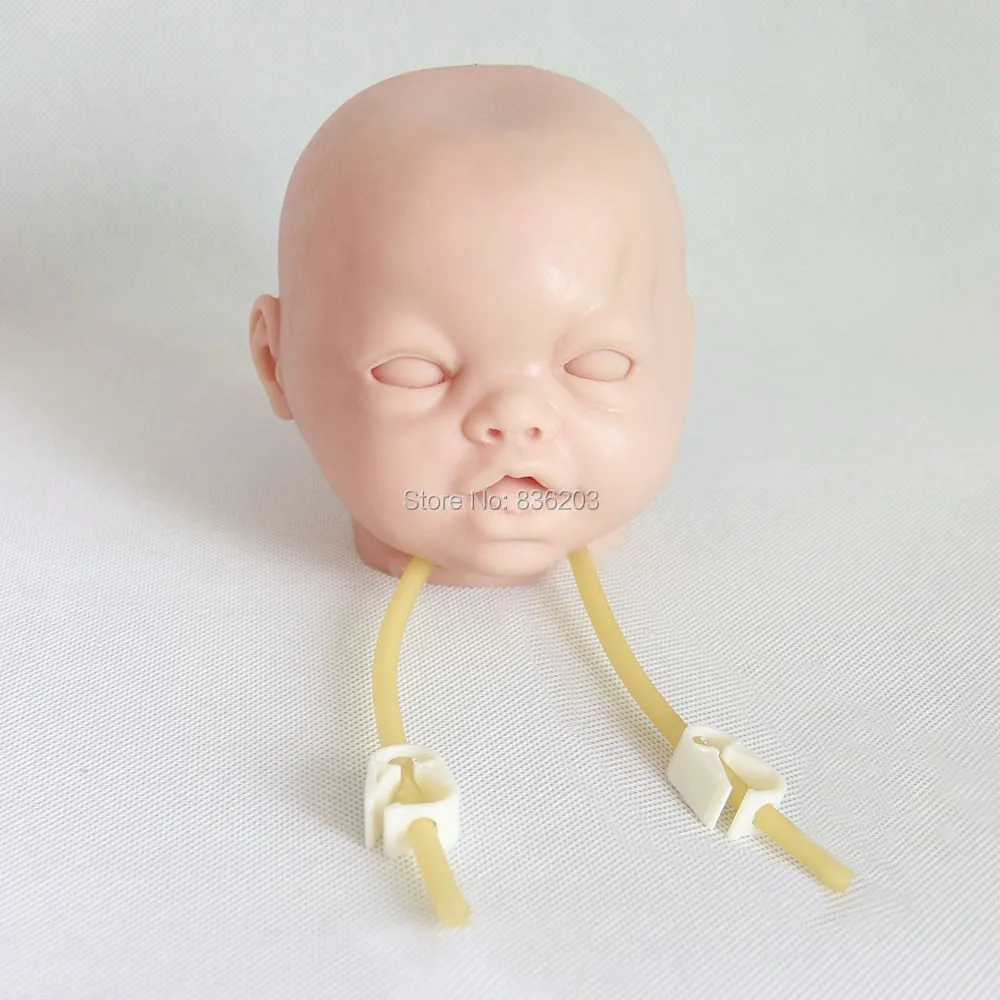 Silicone Infusion Model Phlebotomy traumatism anatomy skeleton ...