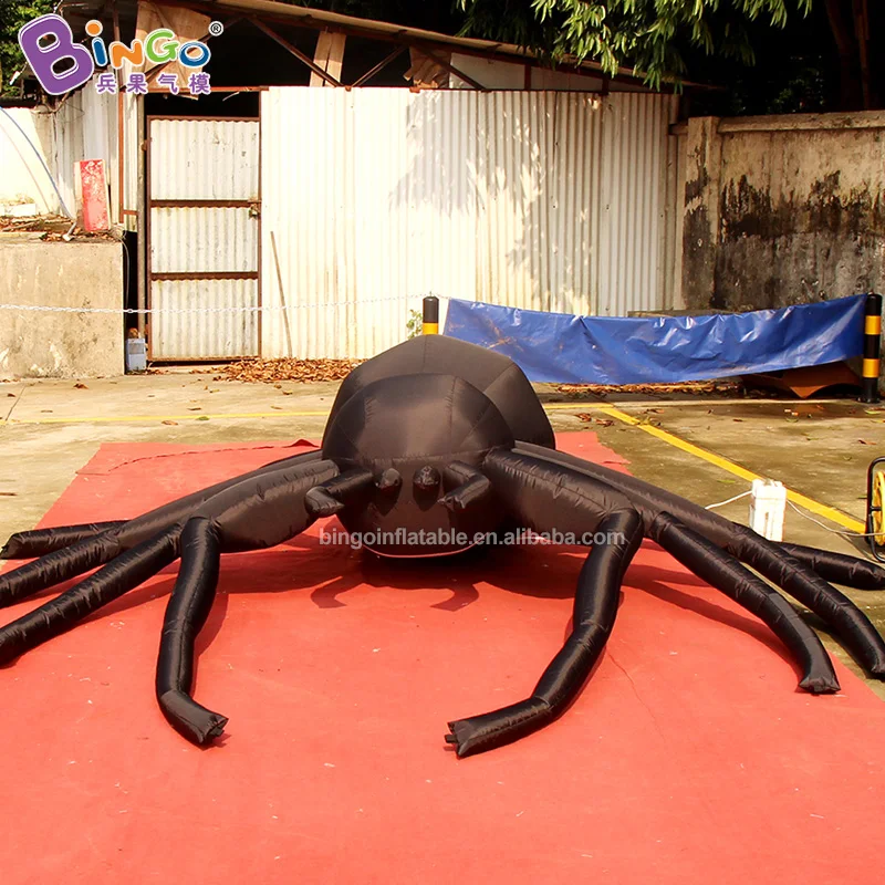 Giant Coconut Spider