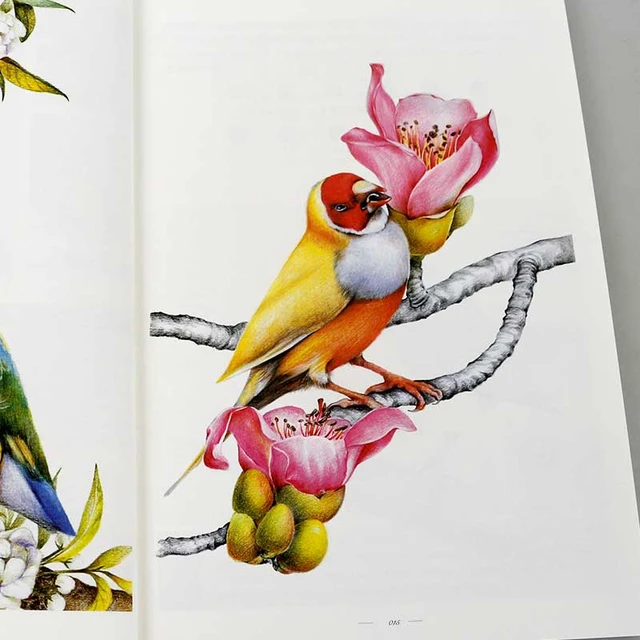 Bird Colored Pencil Drawing