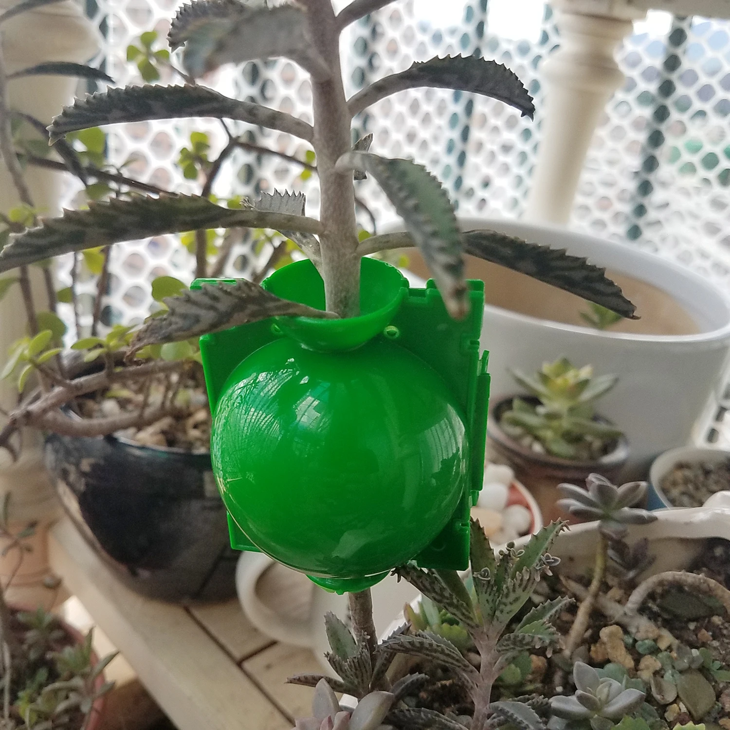 Jardiniere - bac a fleur,Boules de racine réutilisables, 100 pièces ...