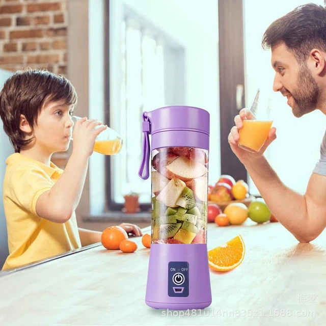 Hand Held Smoothie Blender