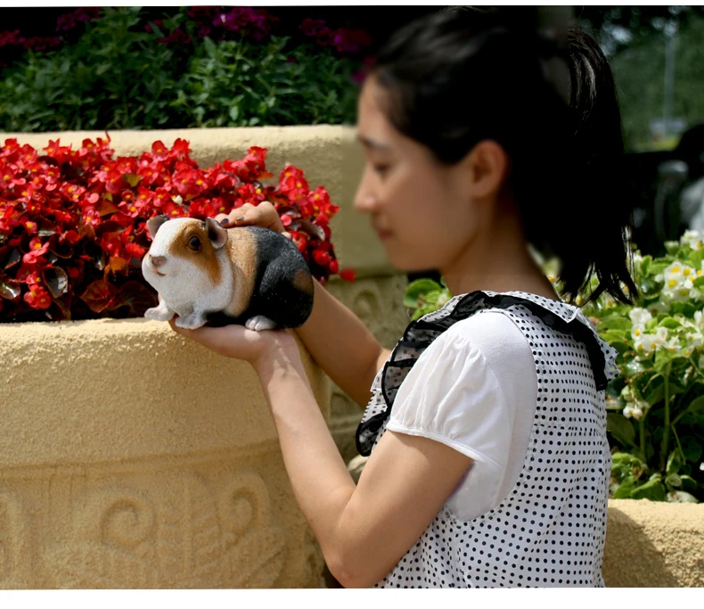 Guinea Pig Statue - gift send