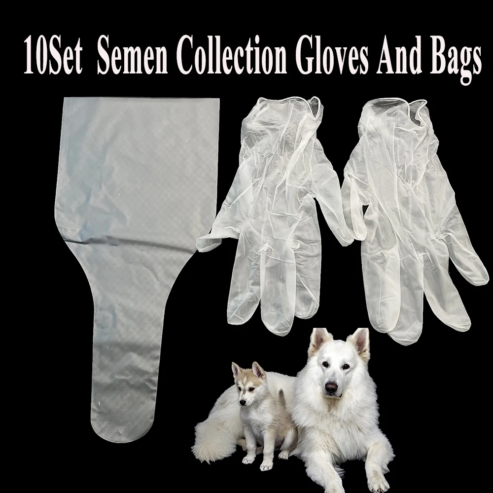 10pcs Dog Semen Collection Bags And Gloves Vinyl Examination Sperm ...
