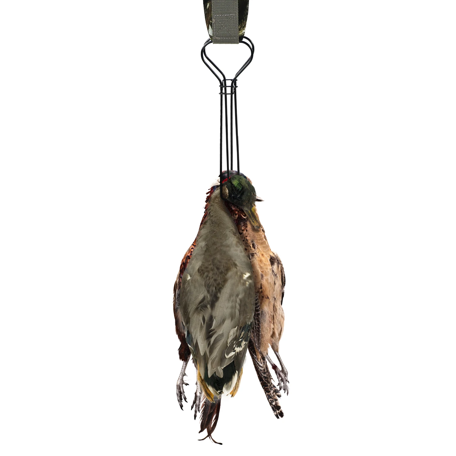 Hunting Game Carrier