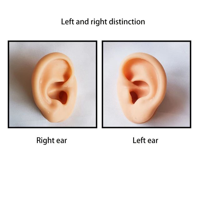 Left And Right Ears