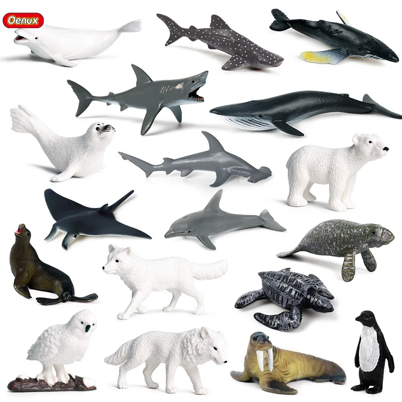 Ocean Life Animals