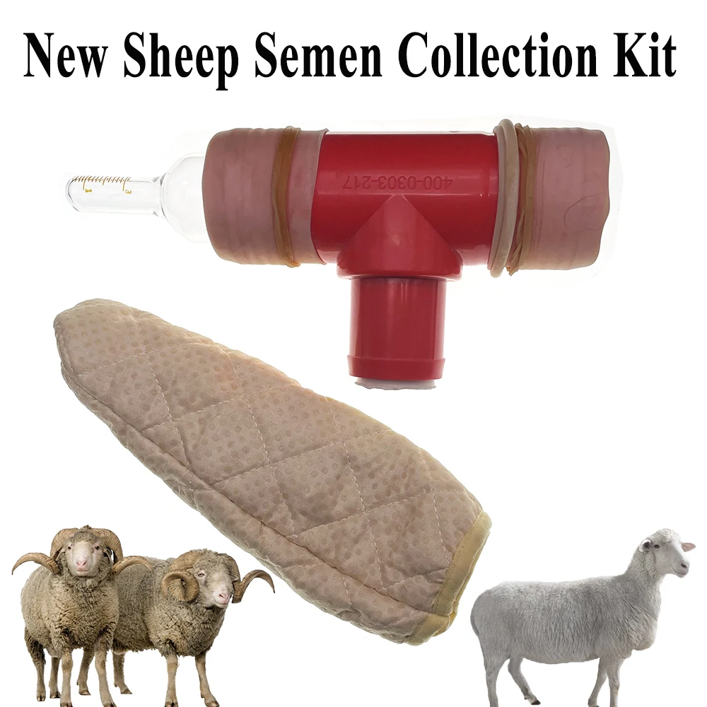 1SET-New-Design-Sheep-Semen-Collection-Kit-Artificial-Insemination-Buck ...