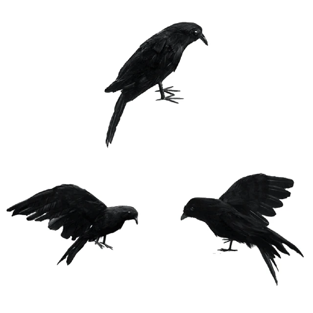 Scary Crow Flying