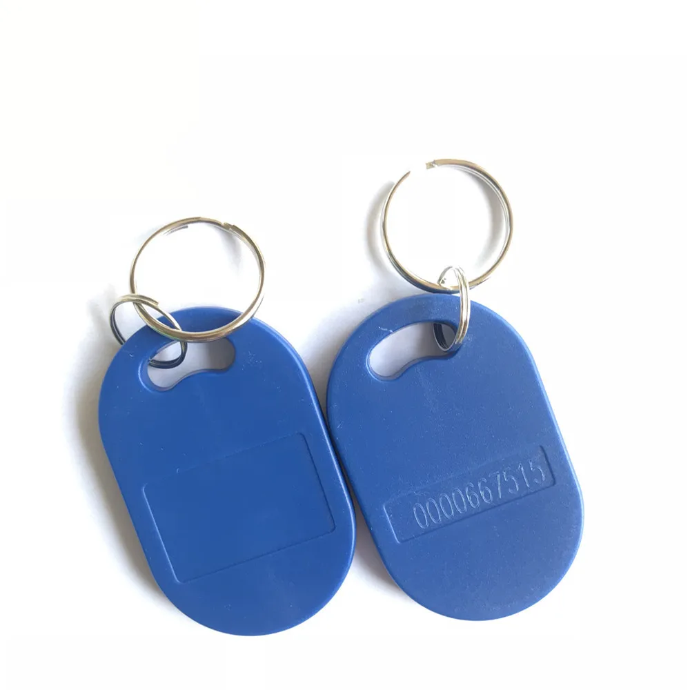 Dual Frequency Rfid Key Fob 125khz Em4100 And 13.56mhz M1 Chip (pack Of ...