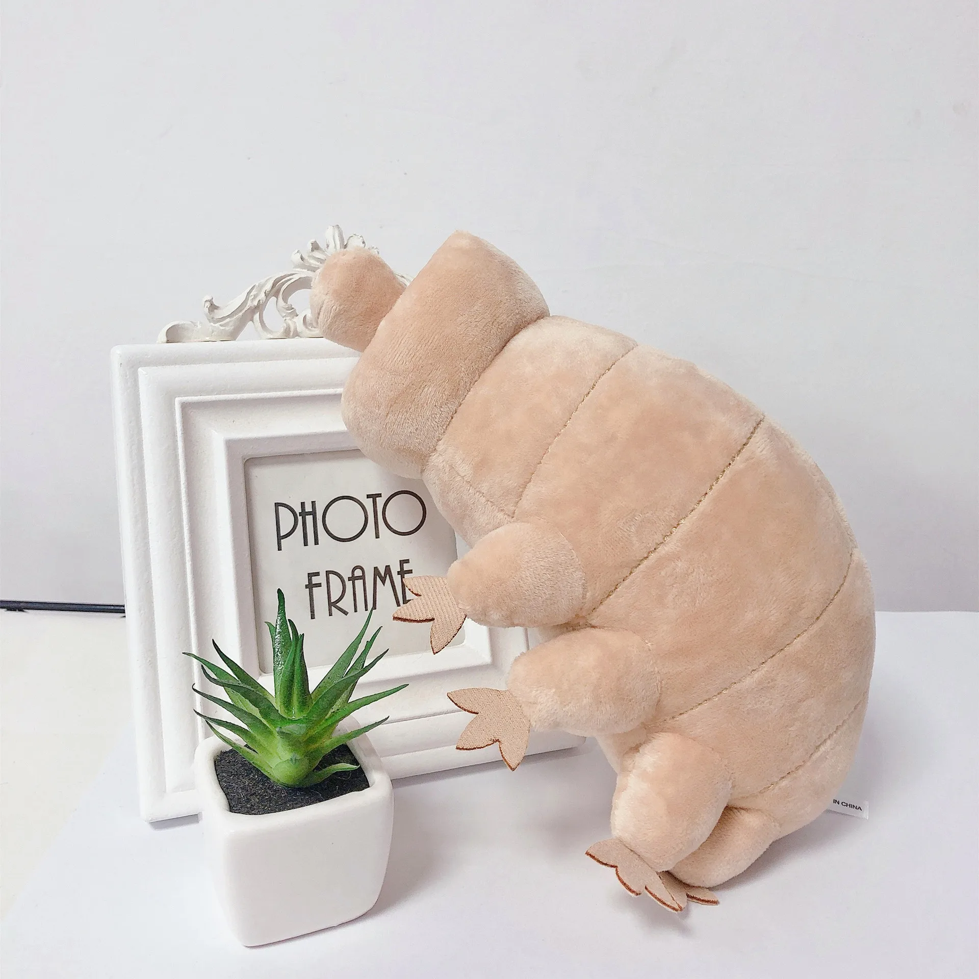 Water Bears Size