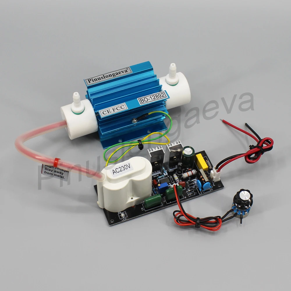 Pinus longaeva 5g/h adjustable Quartz tube ozone generator Kit ...