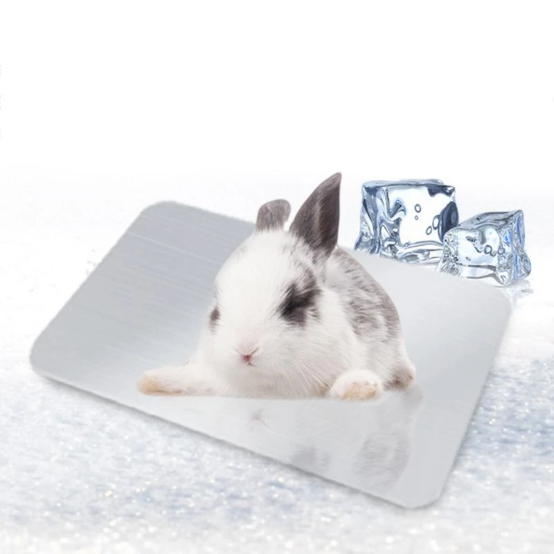 Bunny Cooling Pad | atelier-yuwa.ciao.jp