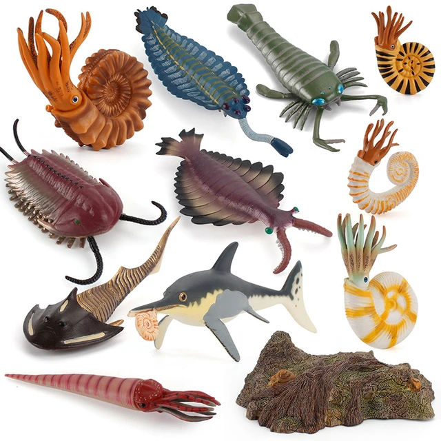 Prehistoric Marine Life
