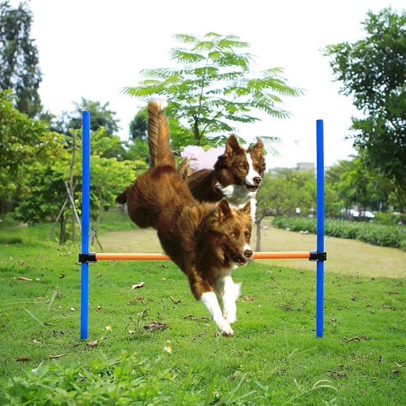 Agility-Equipment-For-Pet-Supplies-Training-Single-Pole-Pet-Outdoor ...