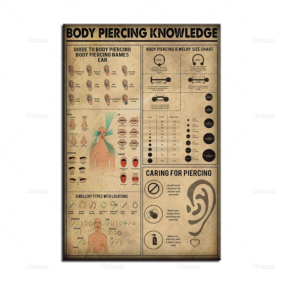 Body Piercings Diagram