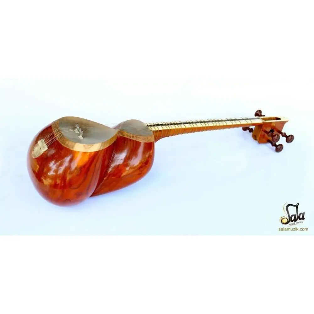 Iranian Tar String Instrument