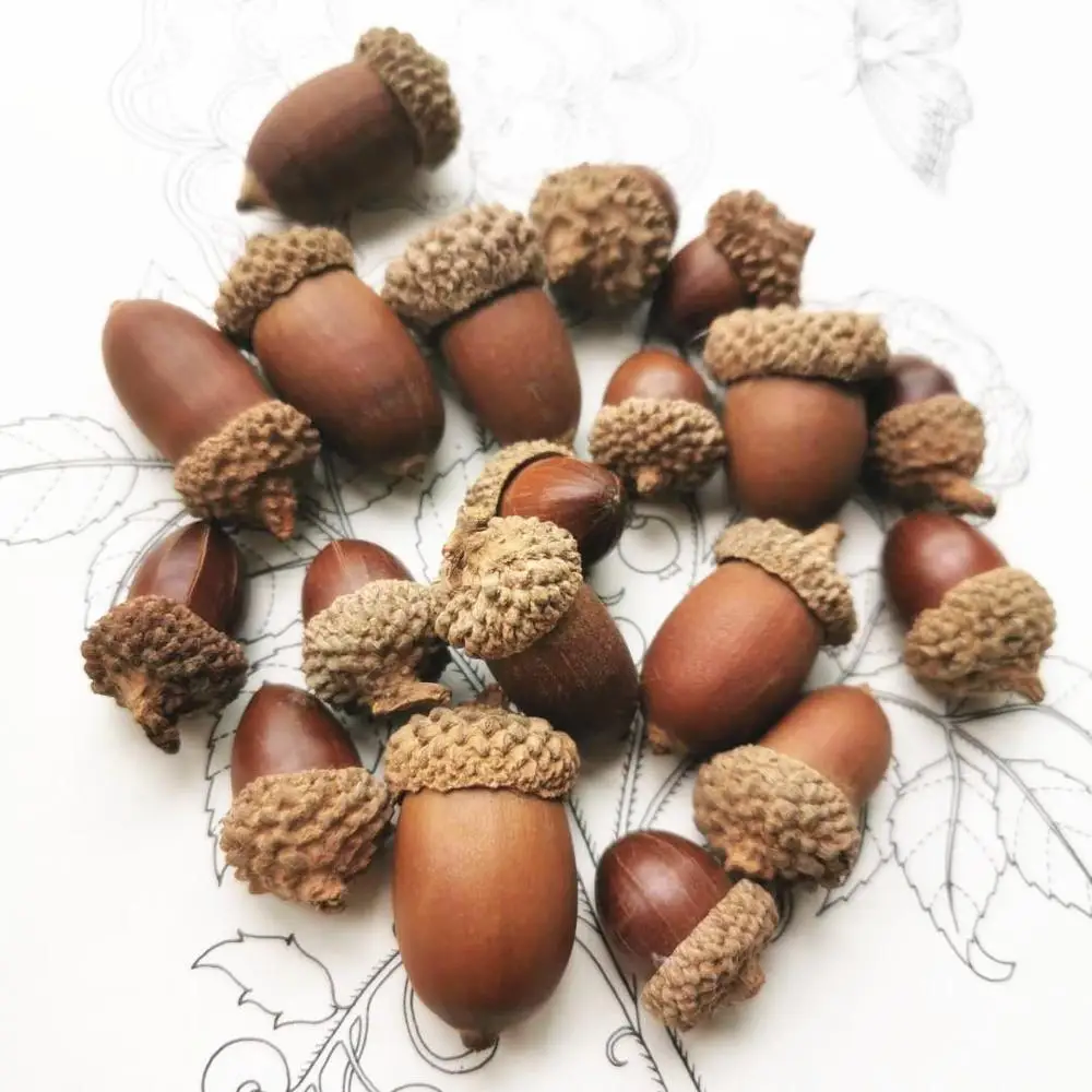 Real Acorns