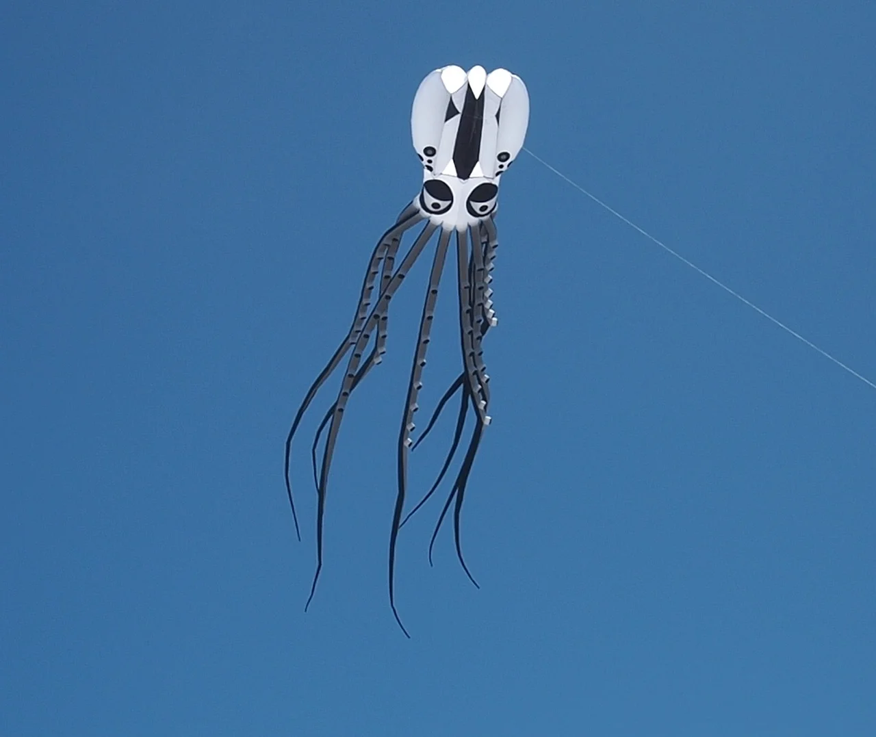 13m Octopus Kite, soft kite, show kite, Lifter from Weifang Kaixuan Kite